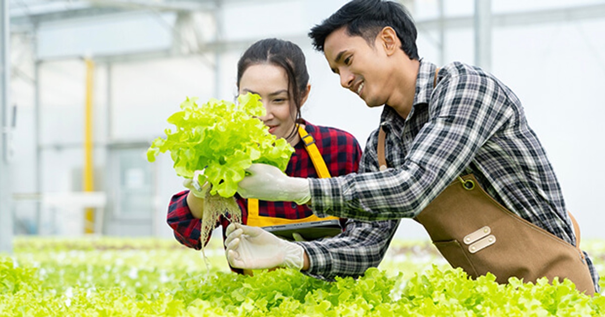 Gardener Salary in ID (May, 2026) – Jobstreet