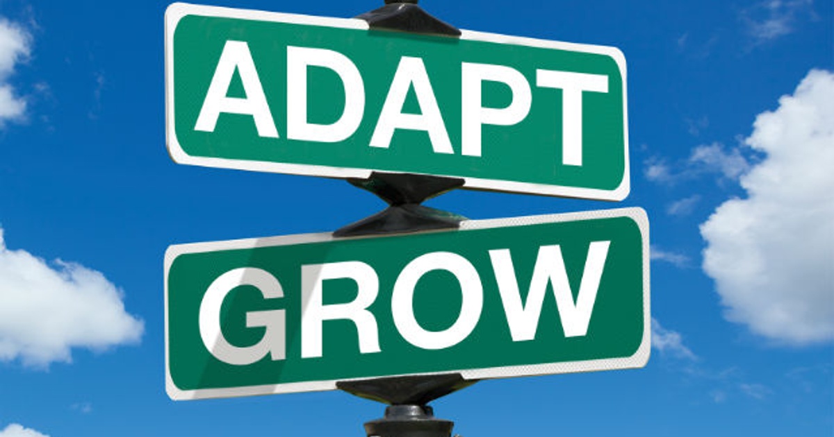 Adapt and Grow: Drawing On One's Resilience To Achieve Career Success ...