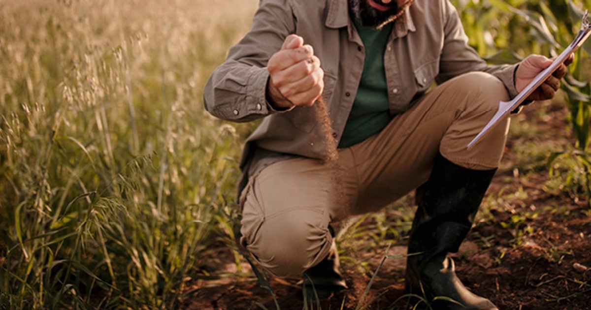 How to become an Agronomist - Skills & Job Description – SEEK