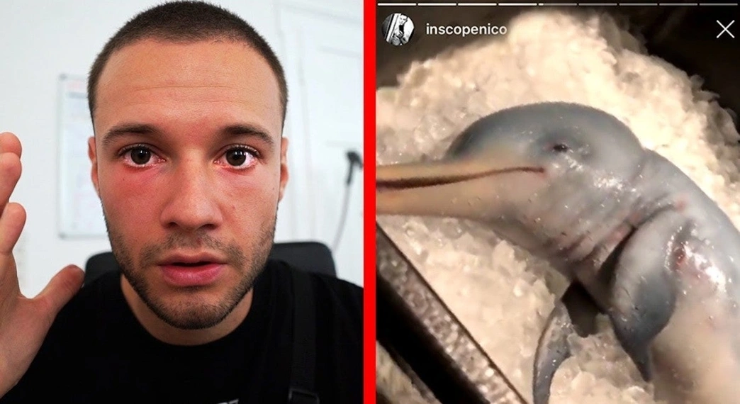 So funktioniert Empörungs-Marketing: Das steckt hinter dem Delfin-Baby ...