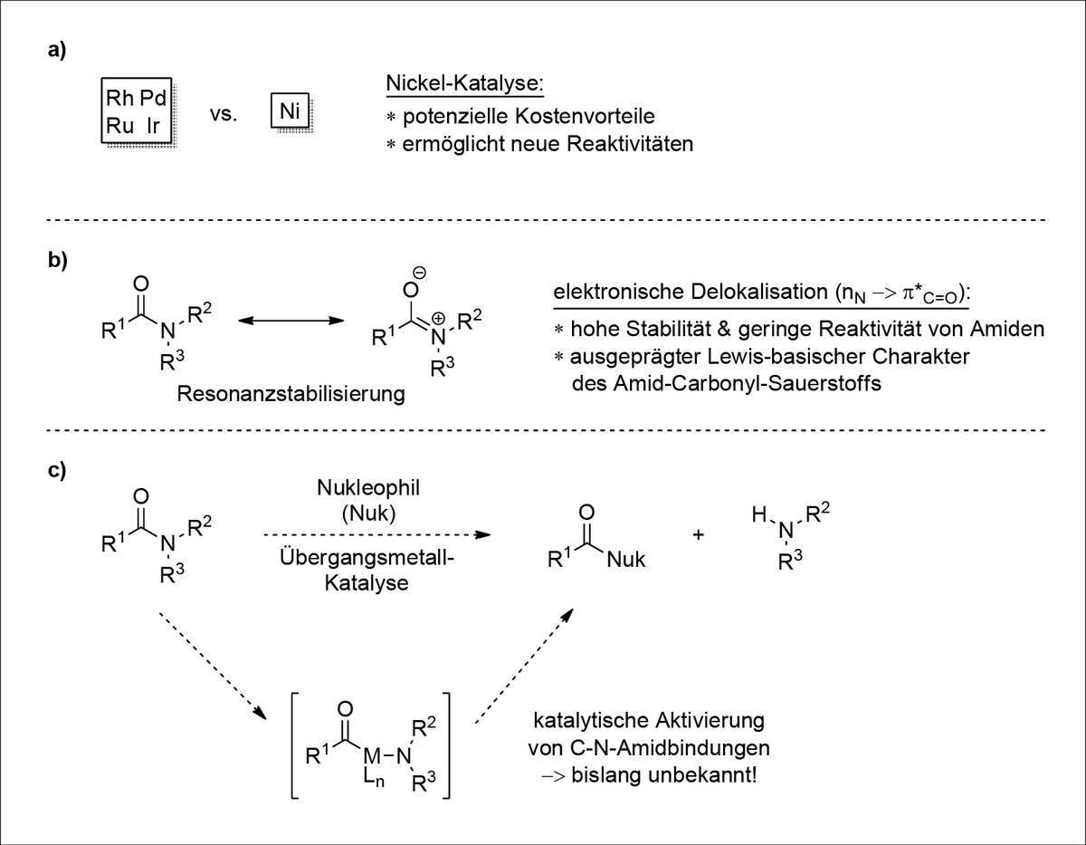 Nickelkatalyse offenbart neue Reaktivitäten | GDCh.app