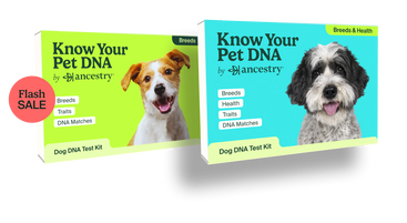 Know Your Pet DNA by Ancestry®