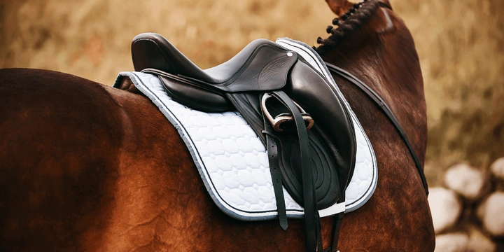 Sadelguide- så väljer du rätt och vårdar din sadel | Hästnet