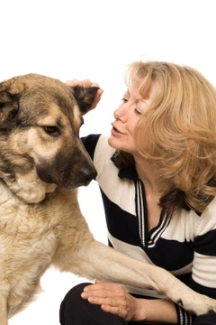 Perro bueno, perro malo | MundoAnimalia