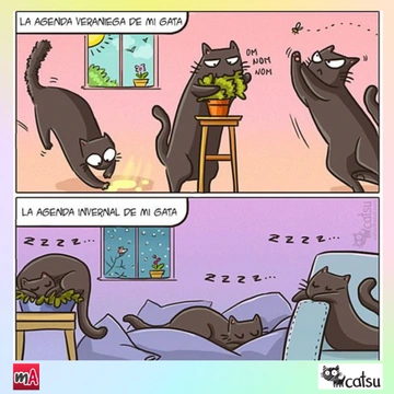 Cómics divertidos de perros y gatos | MundoAnimalia