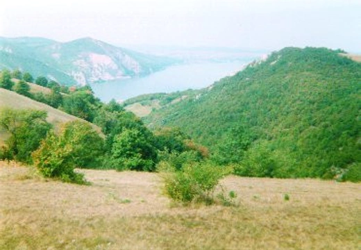 Nejen teraristická návštěva u krajanů v Rumunsku | iFauna