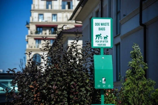 Six potentially serious and even fatal diseases dogs can catch from dog ...