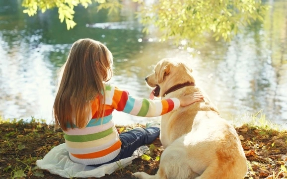 Keeping Children Safe Around Dogs | Pets4Homes