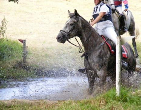 Introduction to Cross Country Horse Riding: A Comprehensive Guide ...