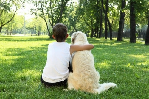 20 Essential Tips for Staying Safe Around Dogs | Pets4Homes