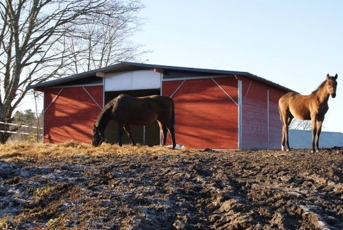 Bygga nytt stall eller renovera det du har? Experten från Myrby tipsar! | Hästnet