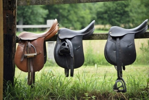 Understanding the Horse Saddle | Pets4Homes