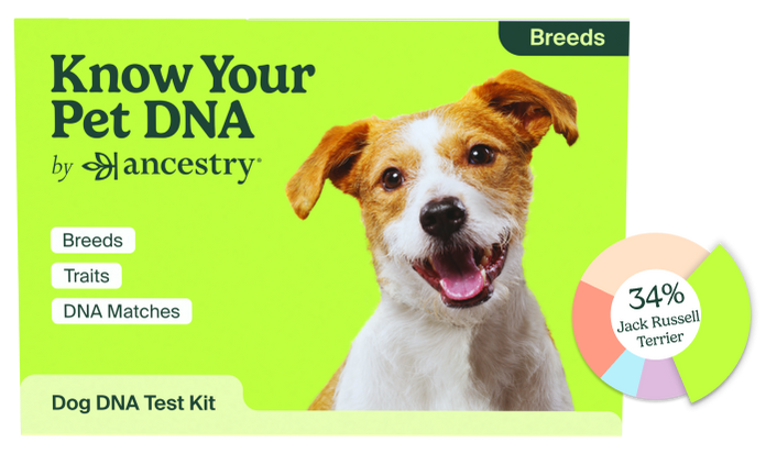 Know Your Pet DNA by Ancestry®