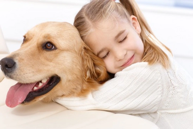 Pet Advice and Information | Pets4Homes