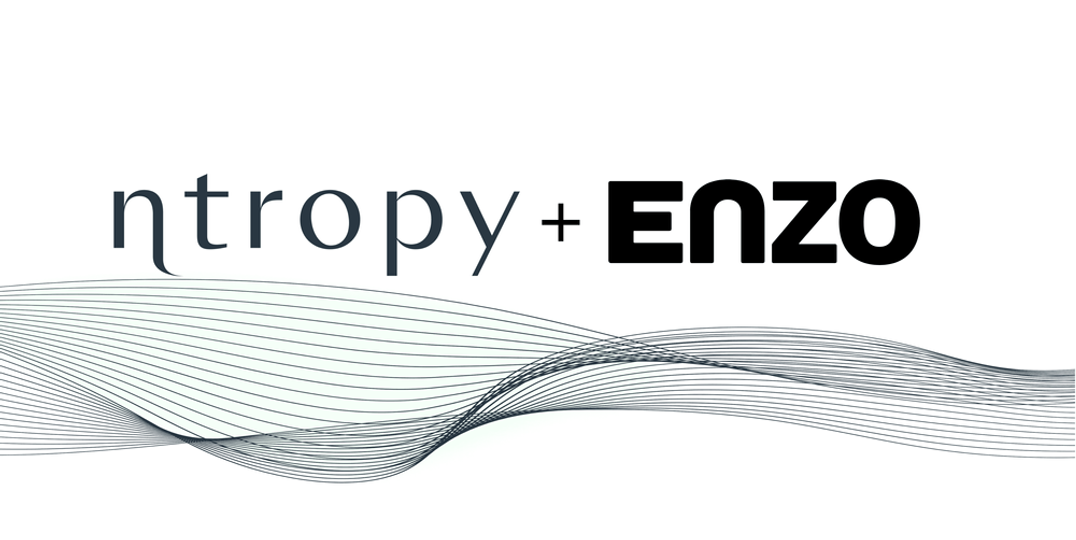 Ntropy Blog | How Enzo Accelerated Their Market Time | Ntropy