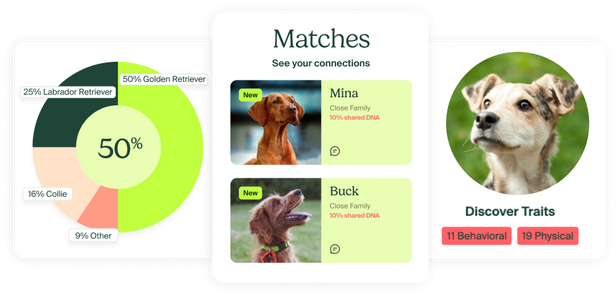 Know Your Pet DNA by Ancestry®