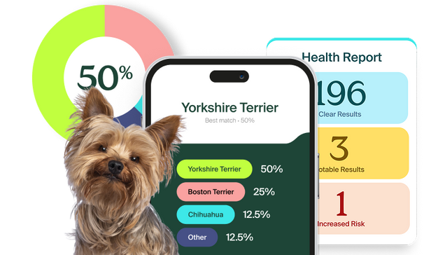 Know Your Pet DNA by Ancestry®