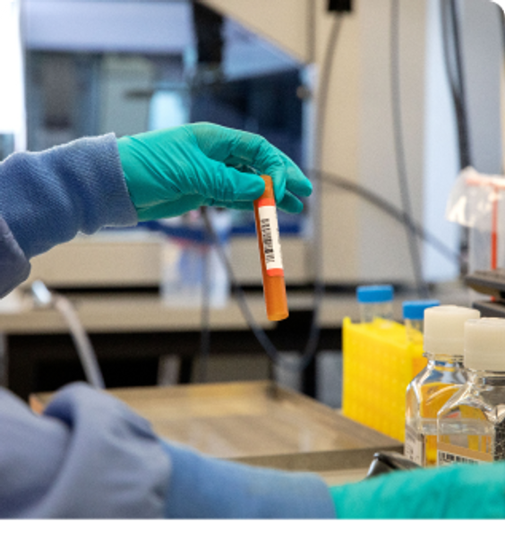 Dog DNA Test Kit | Know Your Pet DNA by Ancestry®