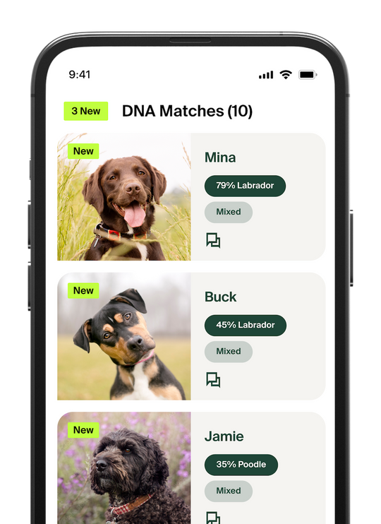 Dog DNA Matches | Know Your Pet DNA by Ancestry®