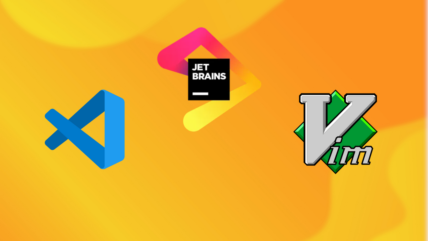 VSCode vs JetBrains IDEs vs Vim