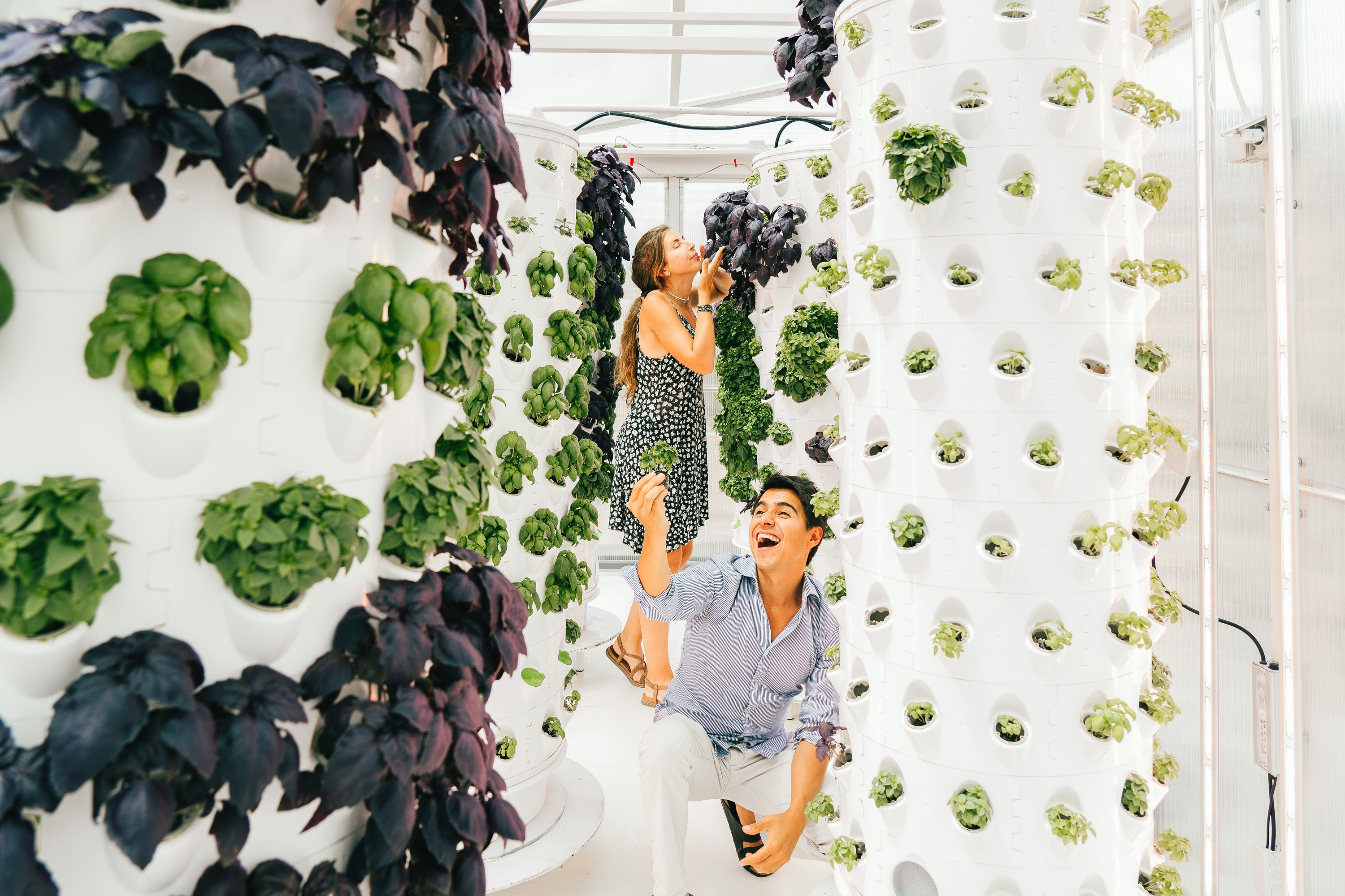 Experiences in Lisbon - Raiz Vertical Farms | Raiz