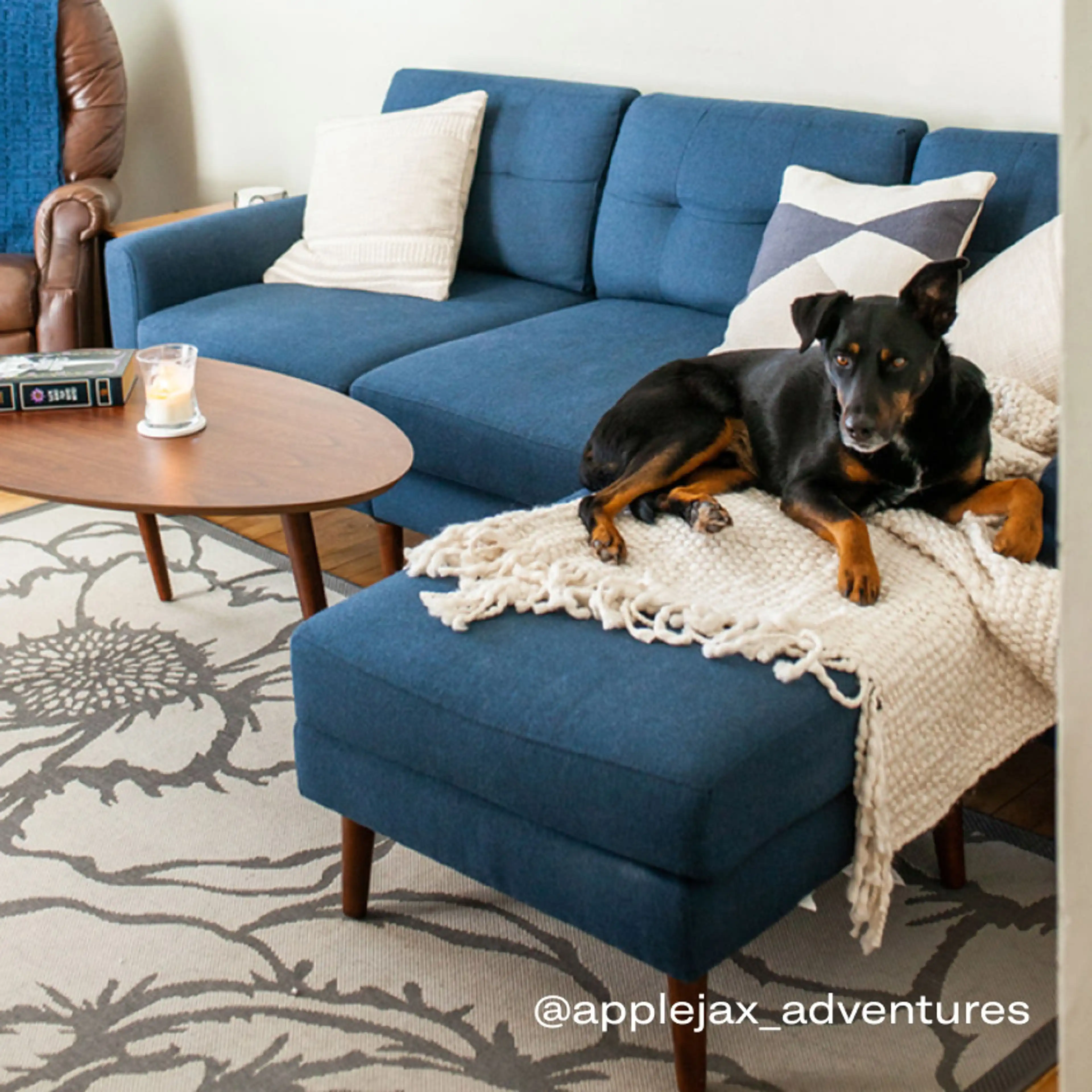 Nomad Fabric Sofa Sectional Burrow