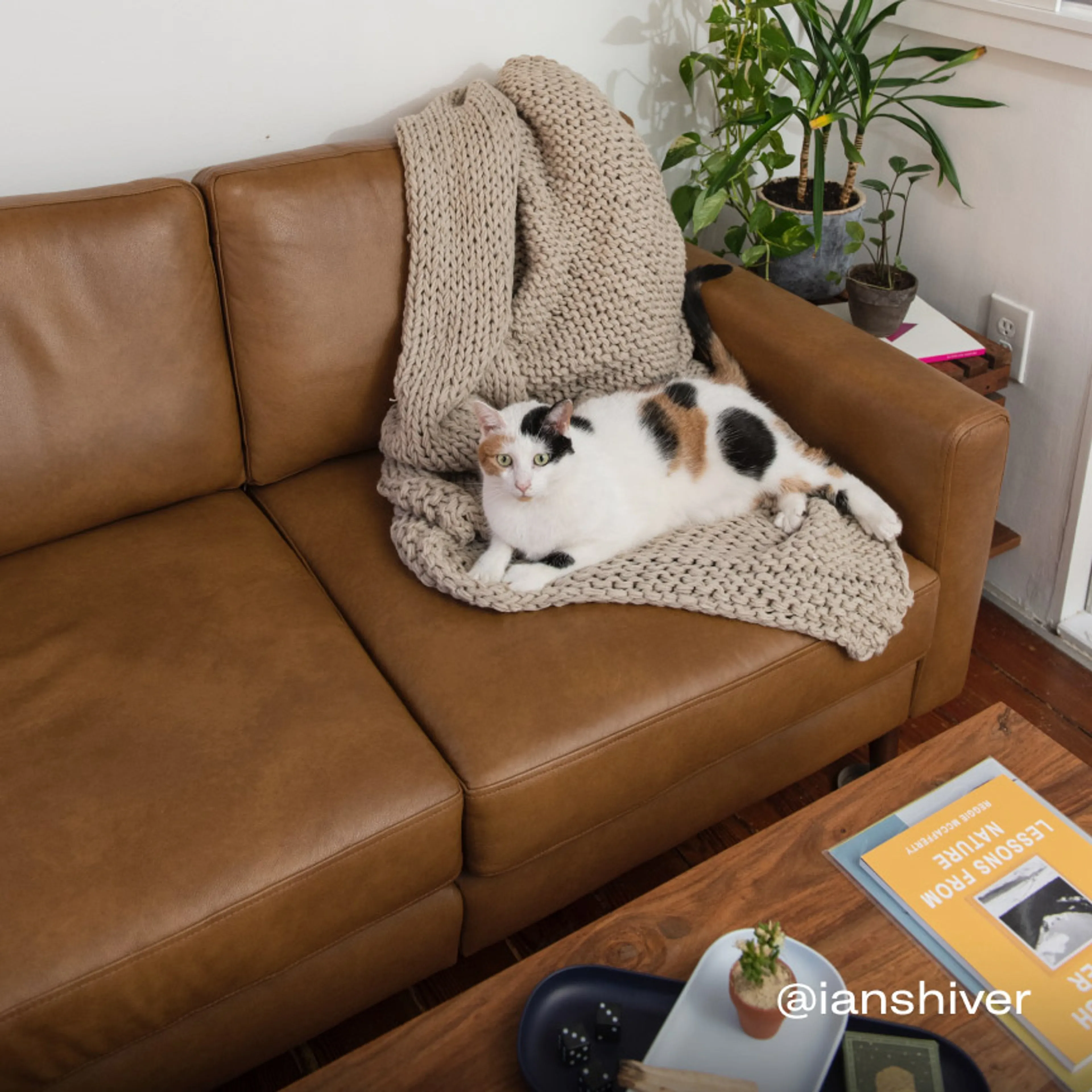 The Luxury Couch for Real Life | Burrow