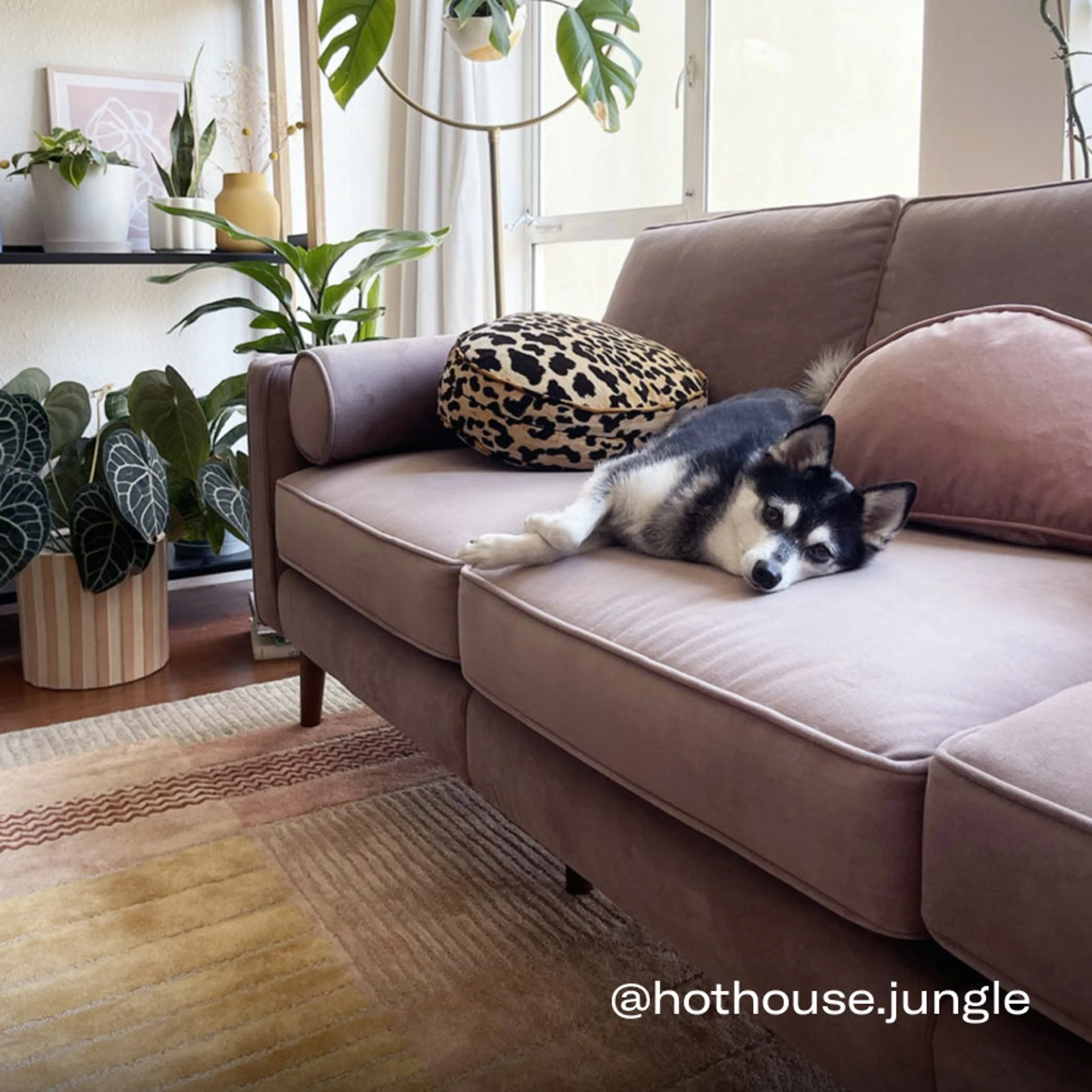 The Luxury Couch for Real Life | Burrow