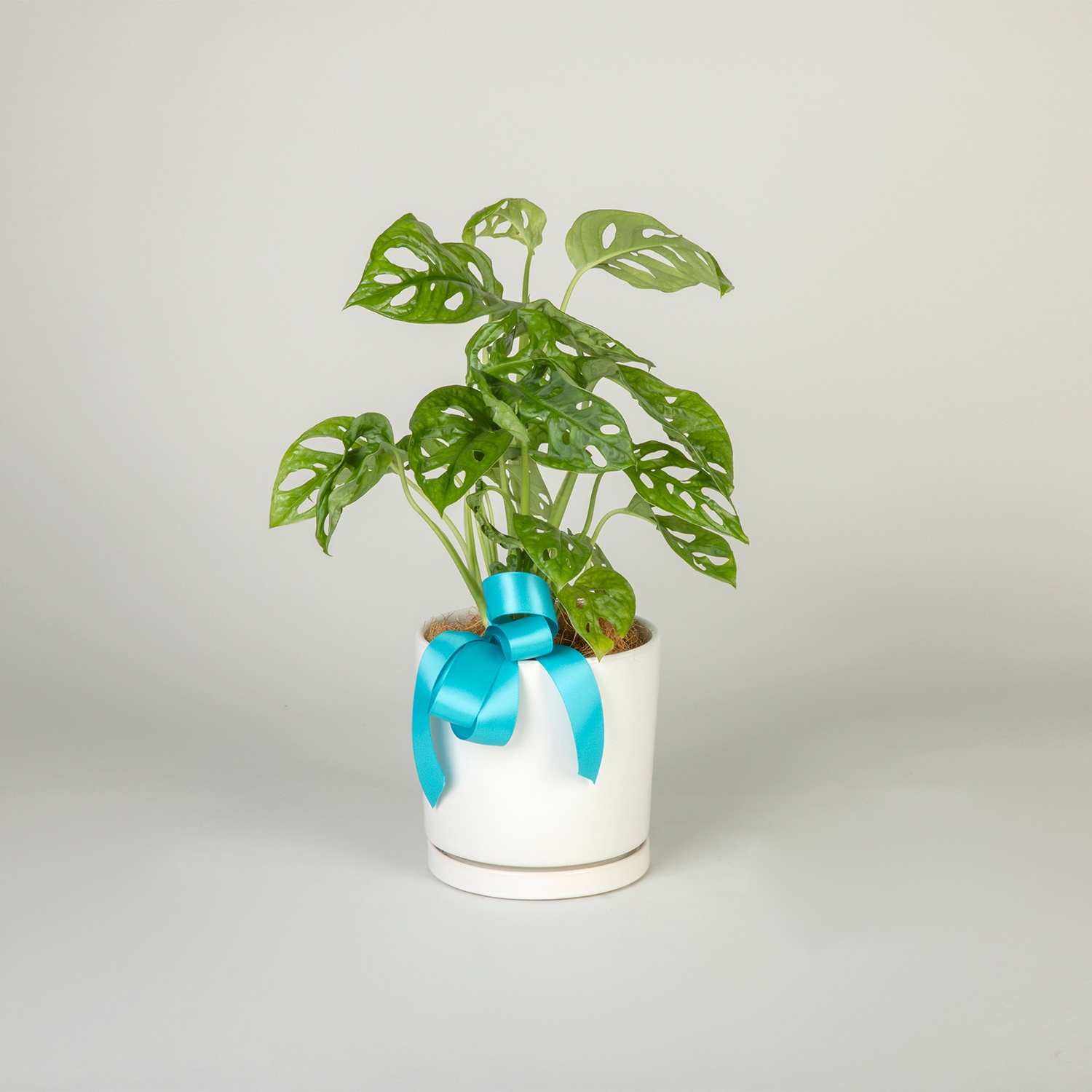 Raising Hope Through Flowers: Ovarian Cancer Awareness Month