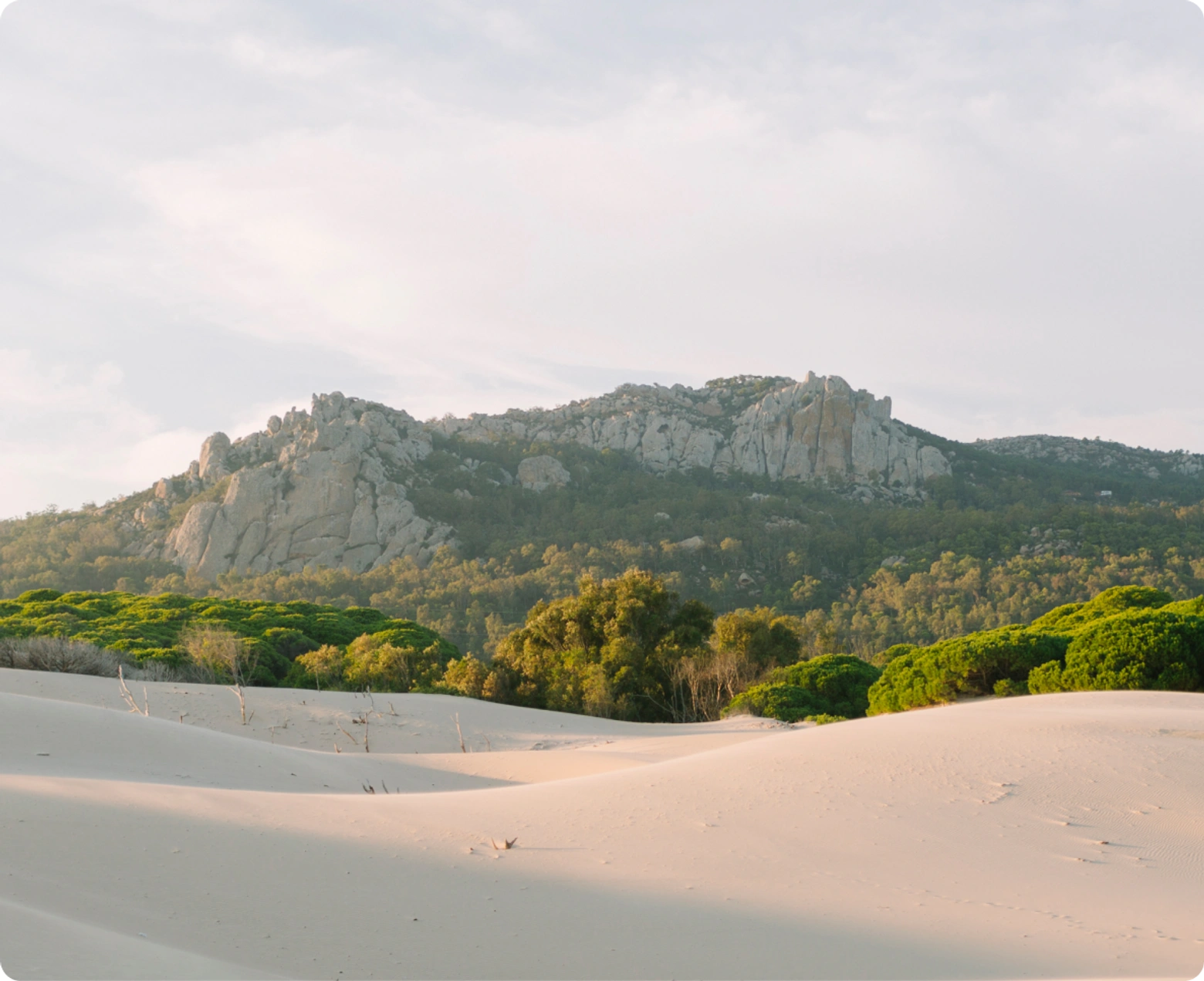 How Liftopia Delivers Value with Advance Purchase Lift Tickets