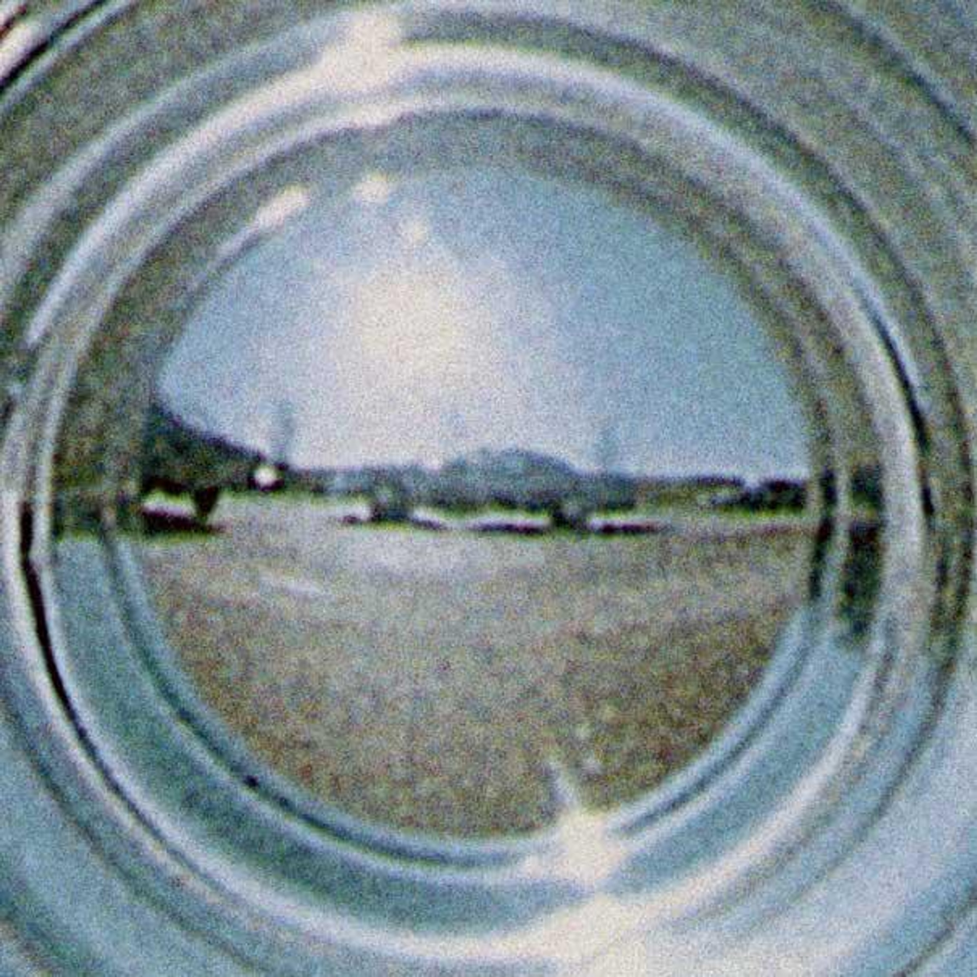 Paul McCartney | Rushes