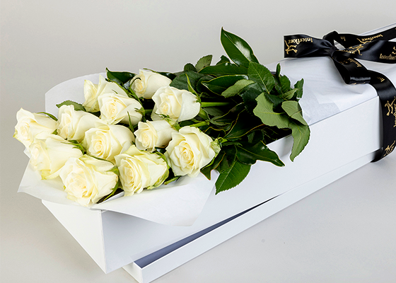 Valentine’s Day Flowers and Their Meanings