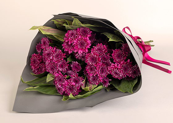 21 Autumn Flowers in Australia - A Seasonal Guide (2024)