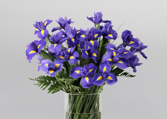 Symbolism and Meanings of 7 Easter Flowers