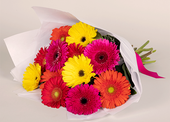 21 Autumn Flowers in Australia - A Seasonal Guide (2024)