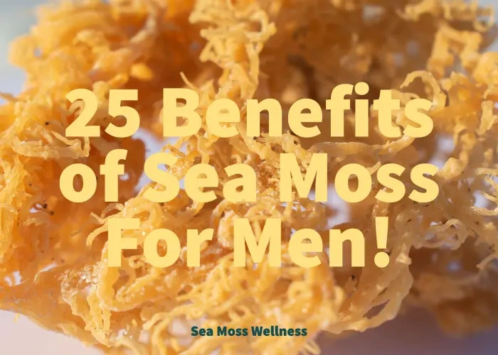 Sea Moss Benefits for Men | 25 Benefits Men Must Know