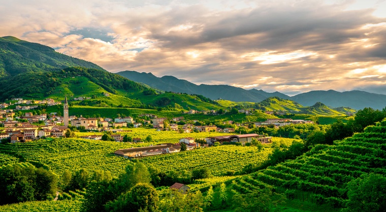 Move Hotels | Stay In Motion