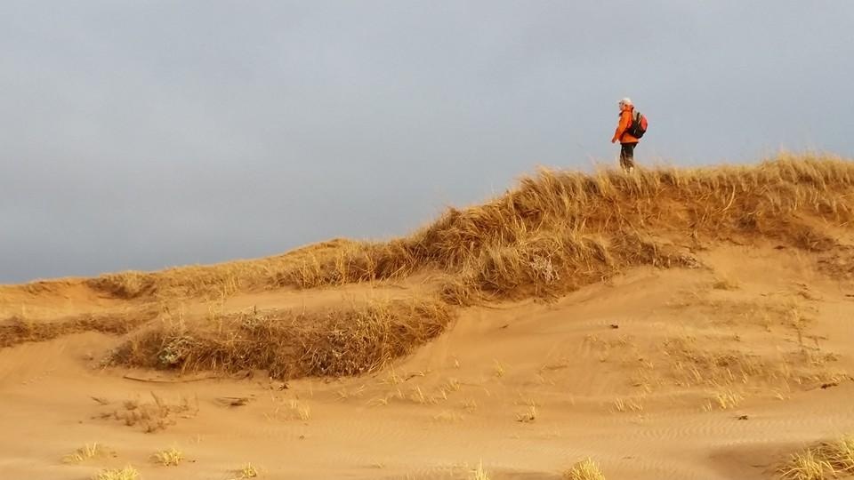 Prince Edward Island Ground Search & Rescue