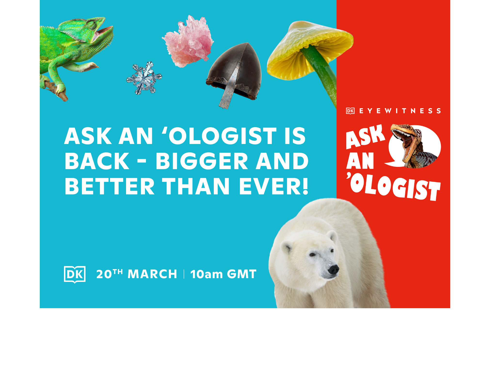 DK Learning: Make every lesson your best yet