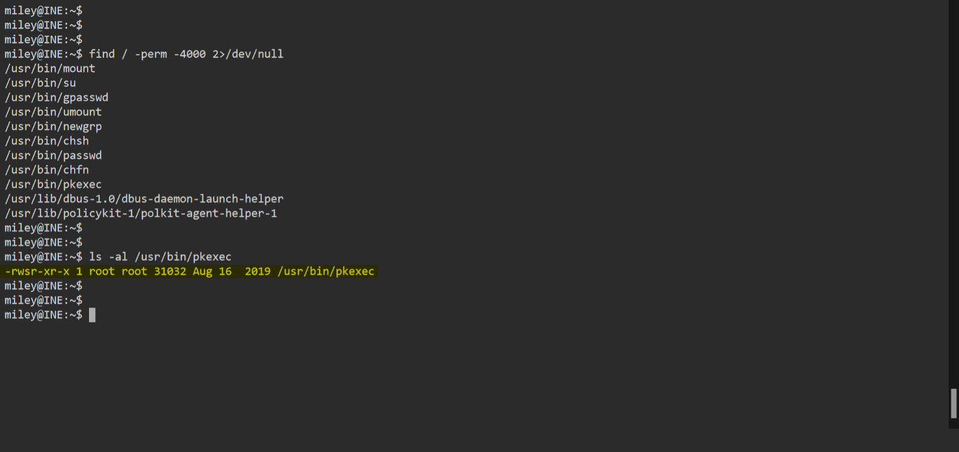 Pwnkit Exploitation Guide: Unveiling CVE-2021-4034 Insights
