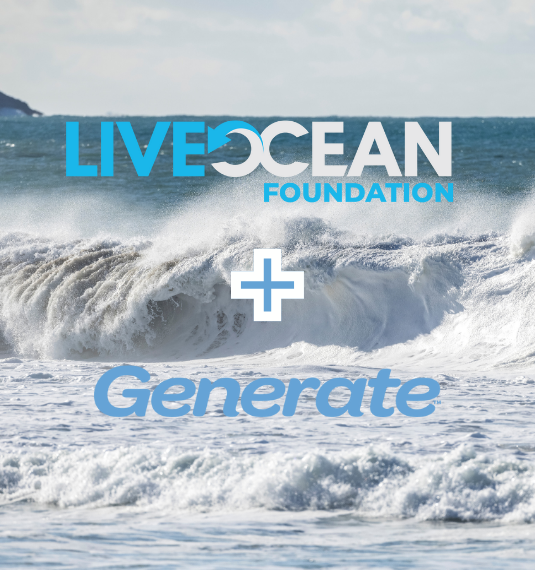 Generate | News & Guides