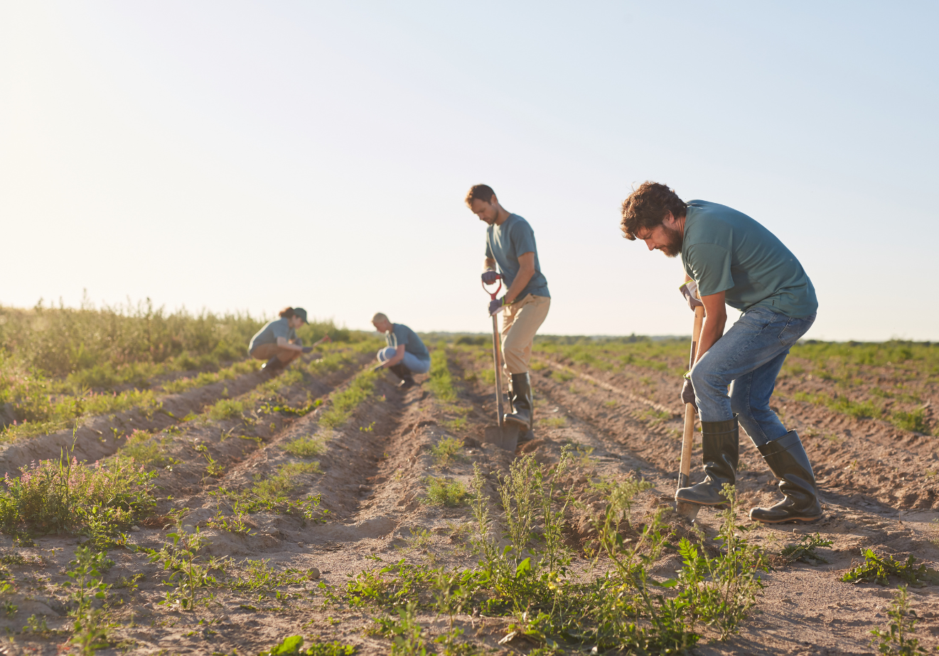 Top unskilled jobs in demand across Australia | Jora