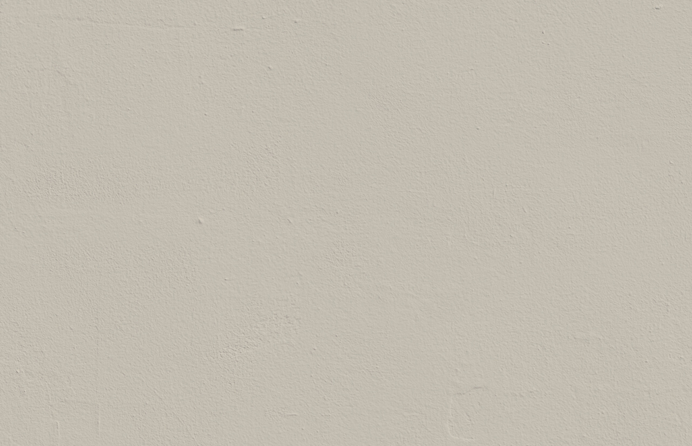 Beige 04: Warm Beige - Matt Interior Paint | Lick