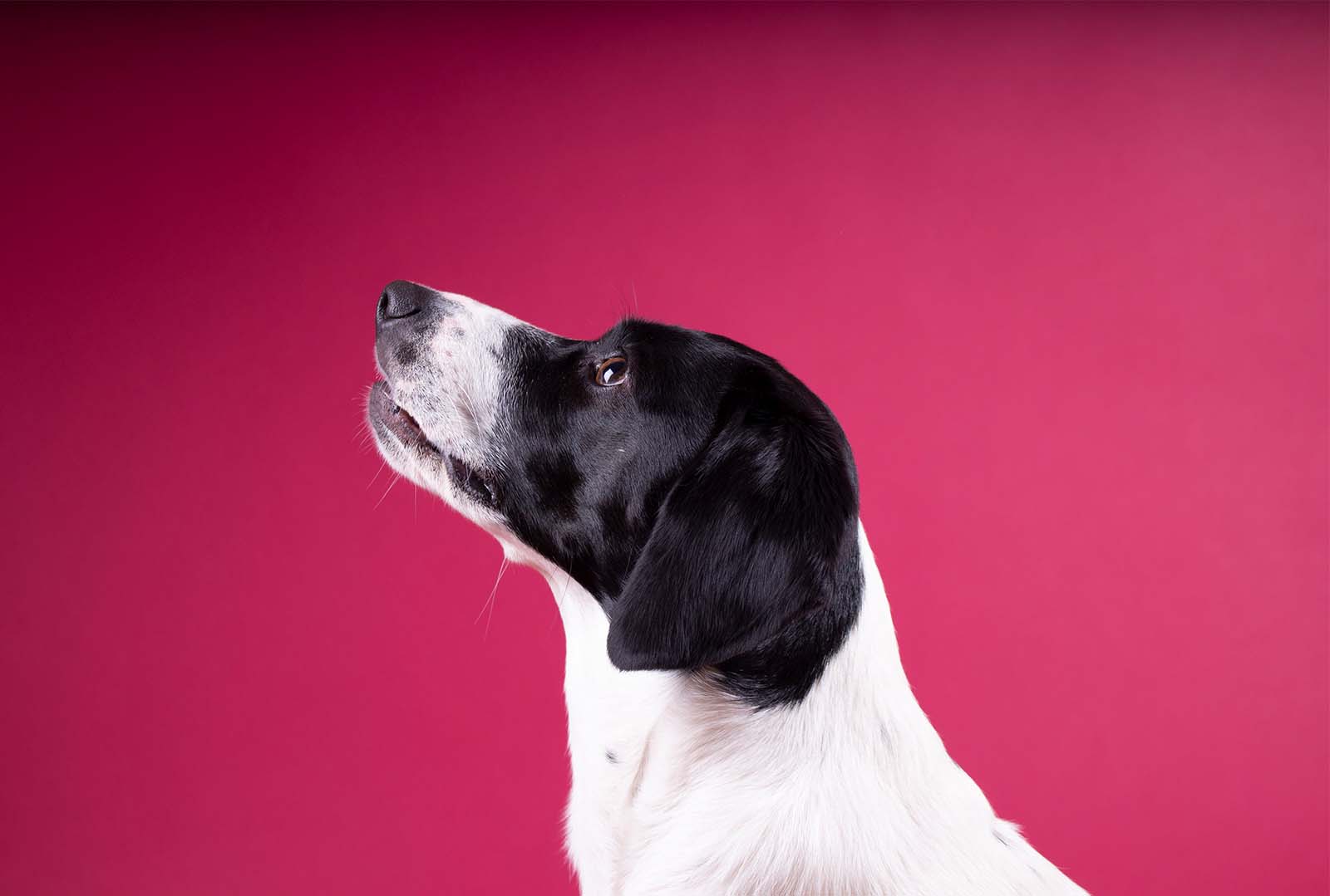 MTU Showcase | /artist/aisling-osullivan