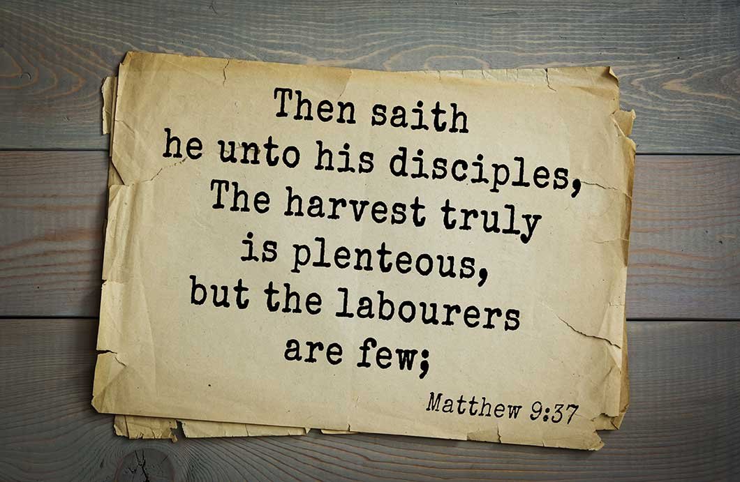 Go and Preach the Gospel | Read | Messiah Online | FFOZ