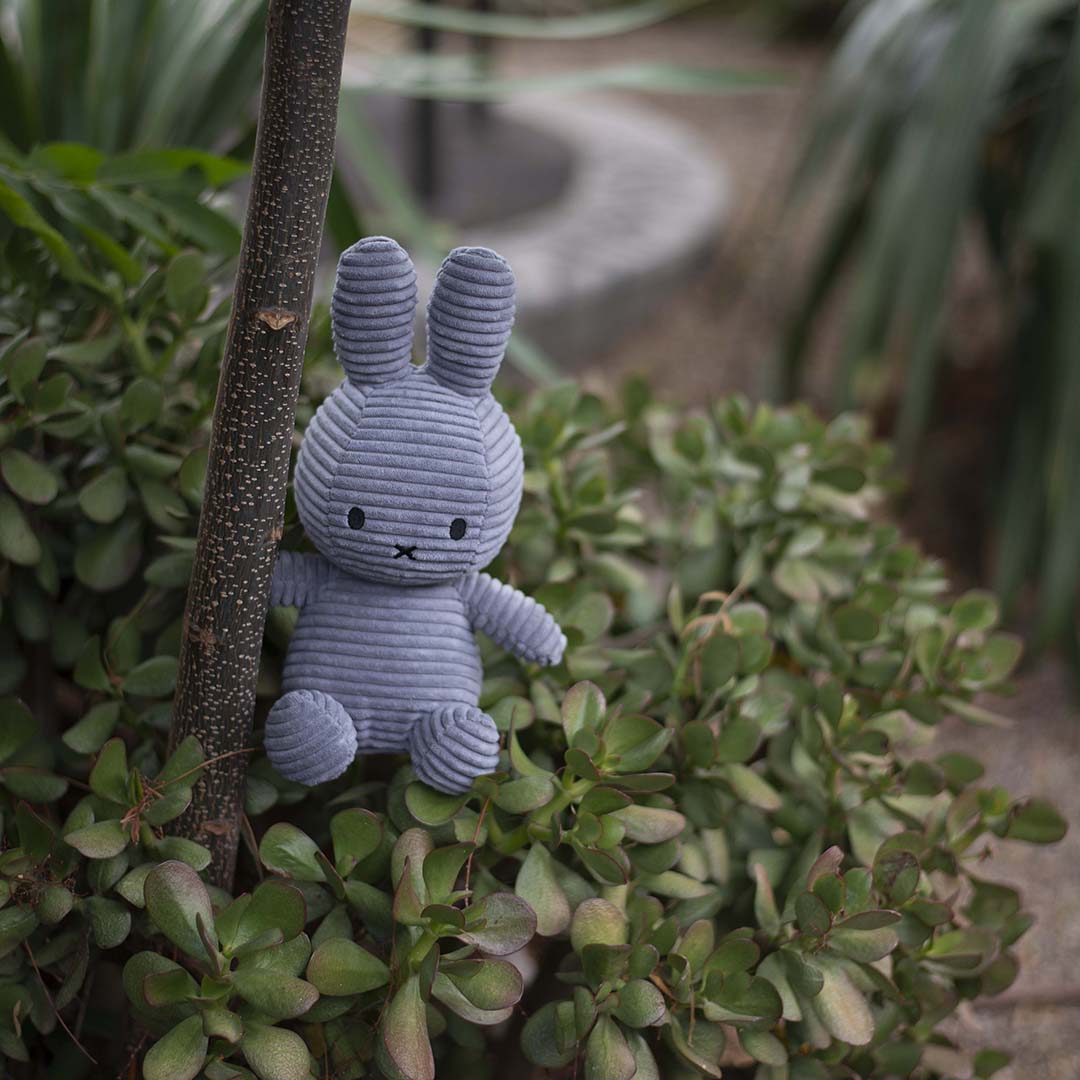 Introducing… Miffy!