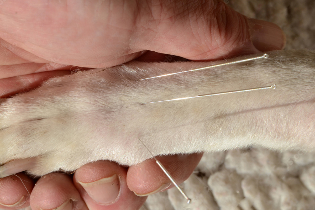 Balance Method - Chi University