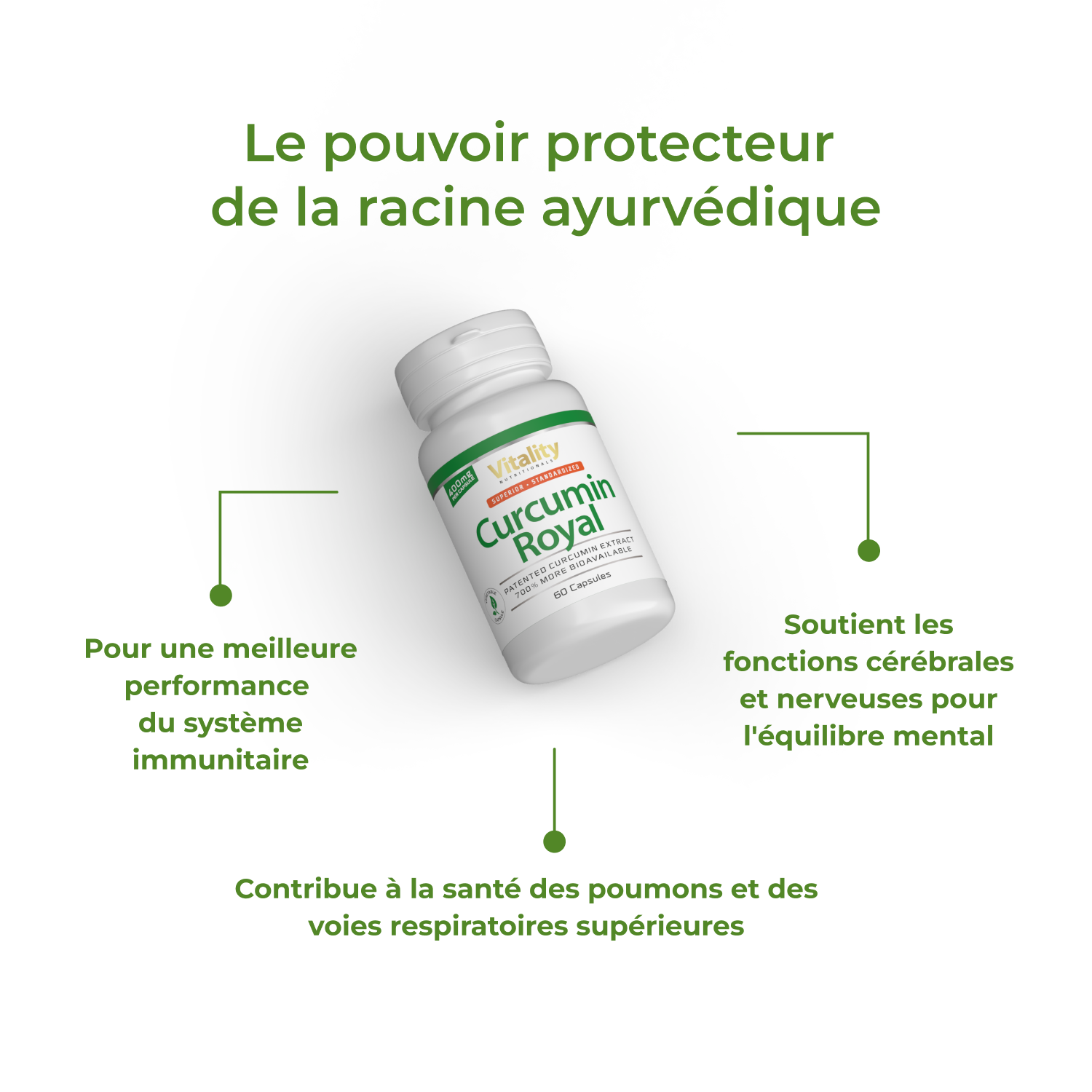 Curcumine de Curcuma en gélules - 100% Naturel - Curcumin Royale ...