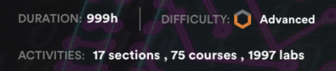 Cyber Security Capture the Flag (CTF) Labs