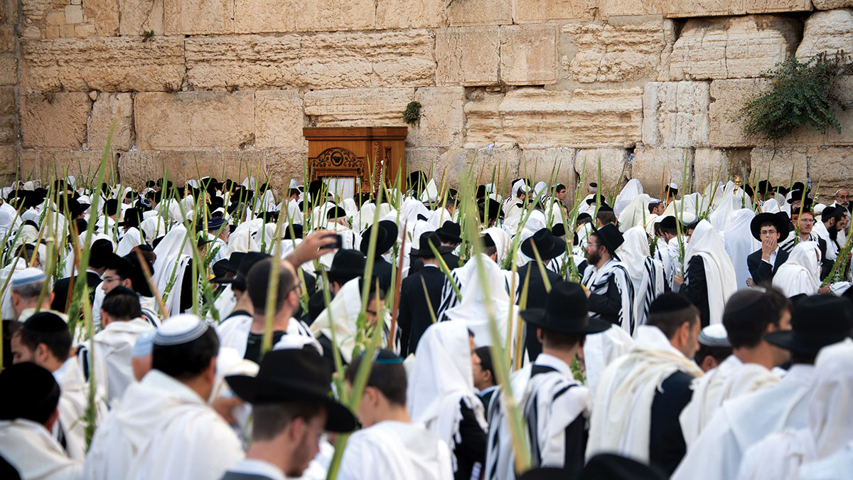 The Festivals | Learning Center | FFOZ